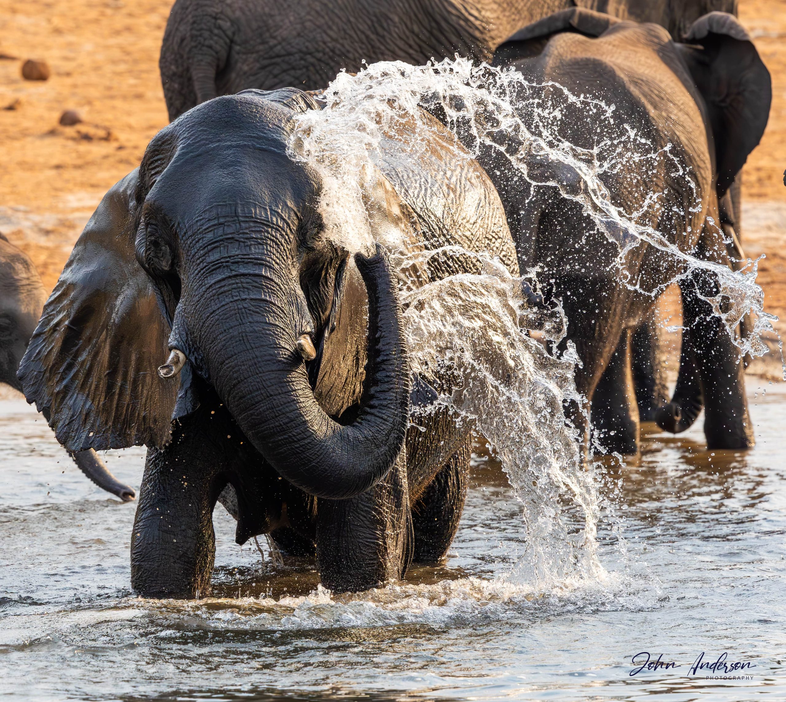 Calendar Voting - Airdocs