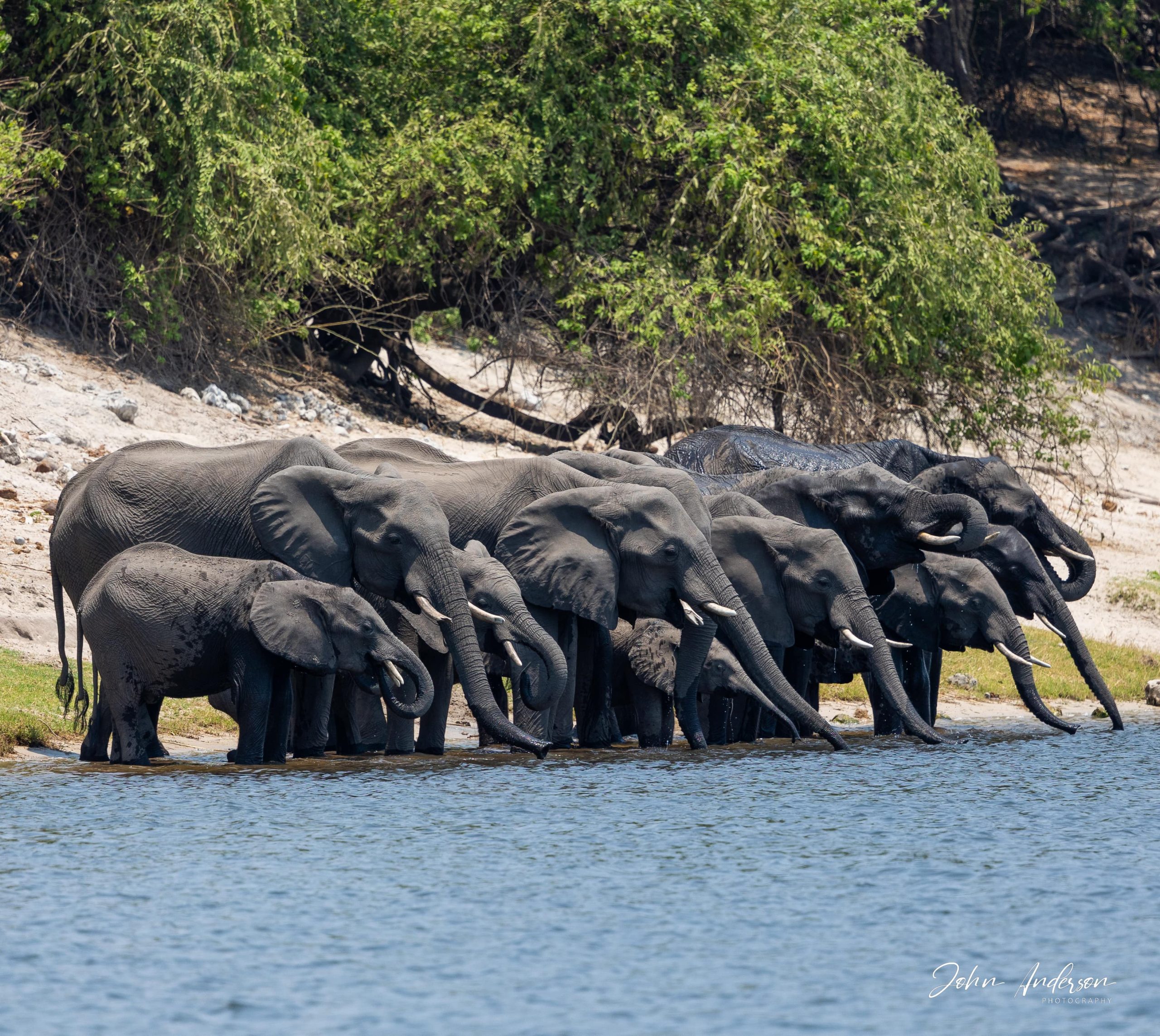Calendar Voting - Airdocs
