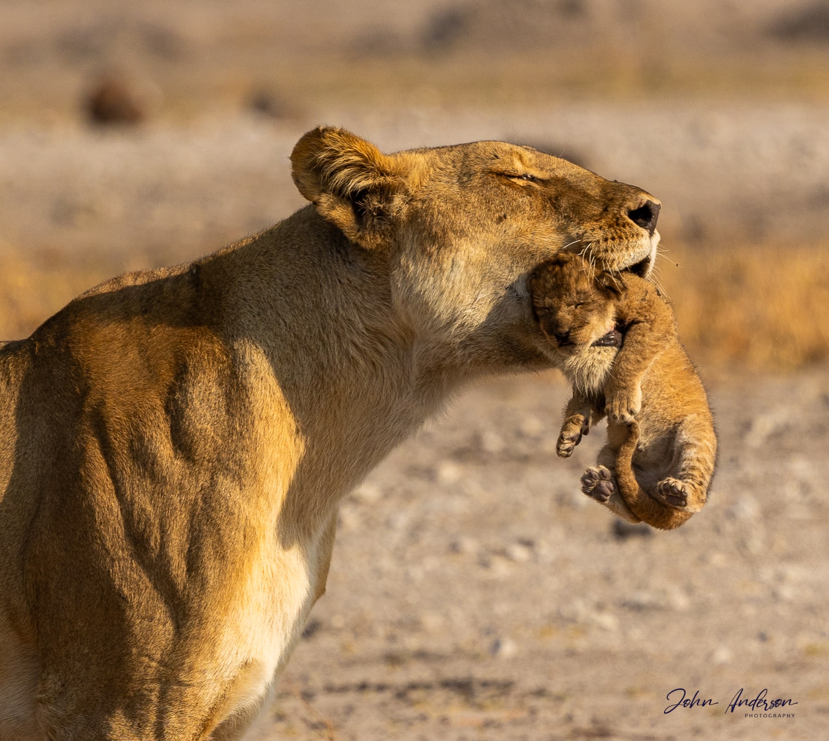 Calendar Voting - Airdocs